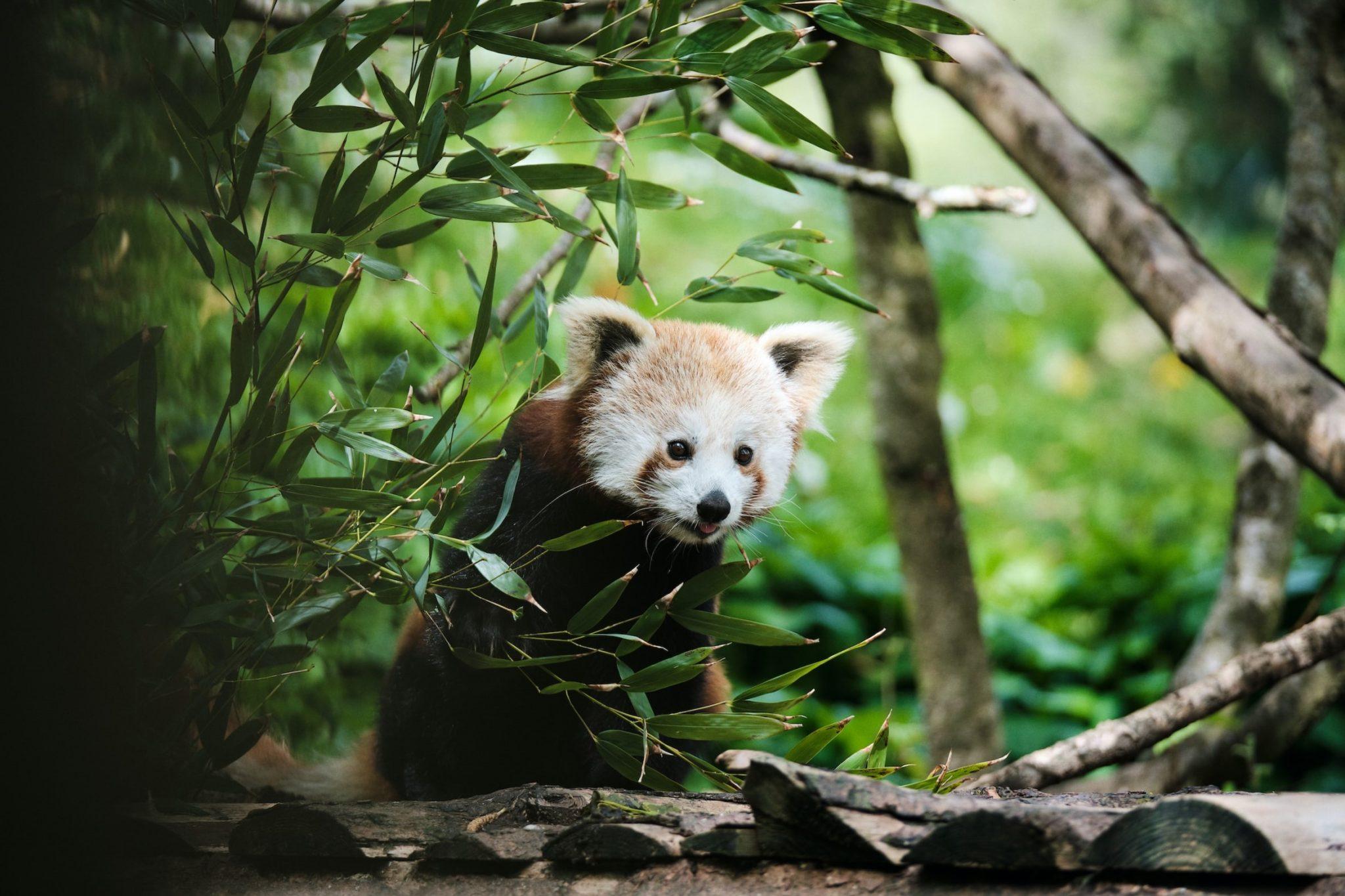 Newquay: The Complete Visitor Guide | Cornish Vybes