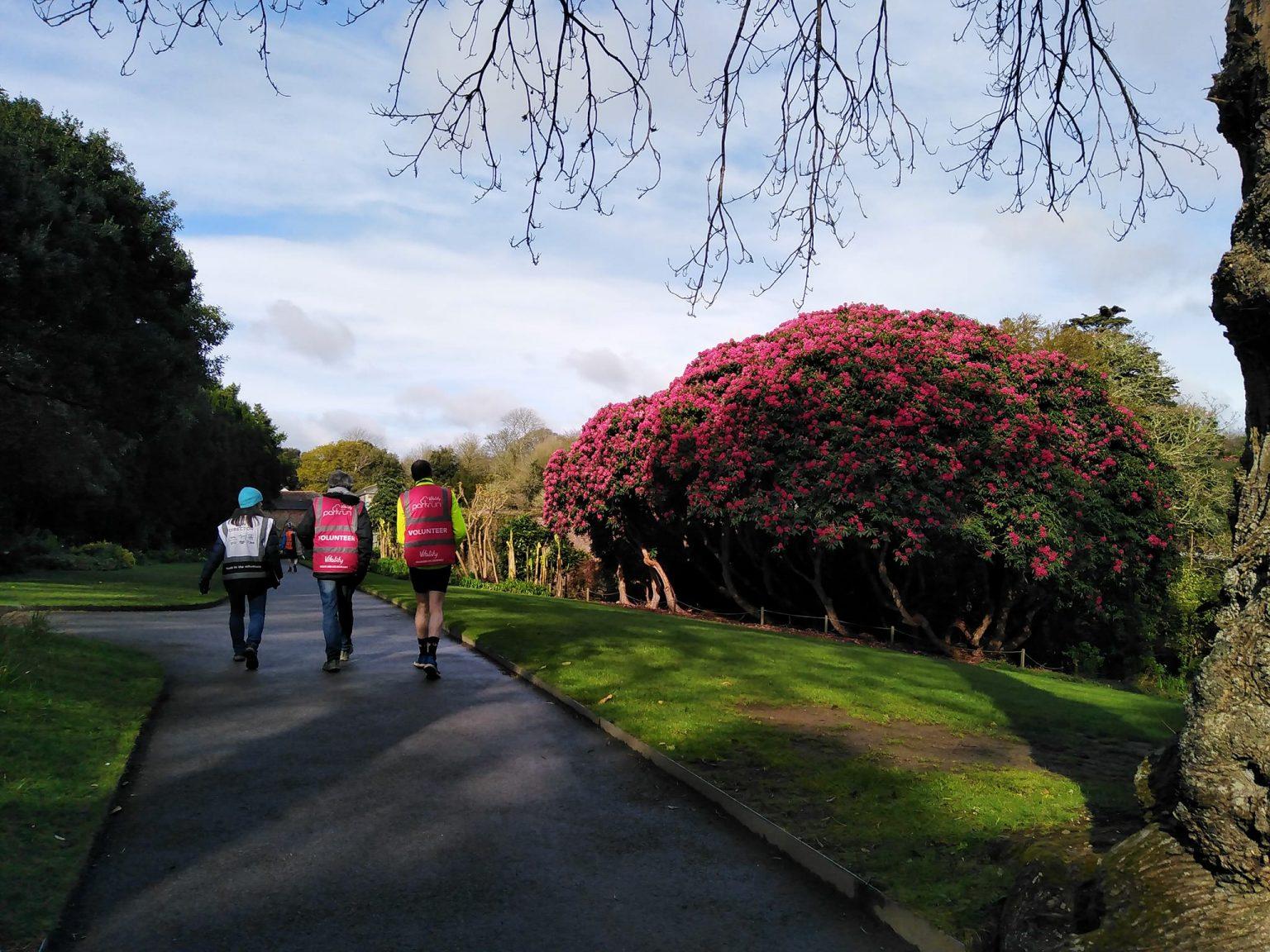 Best Parkruns in Cornwall | Cornish Vybes