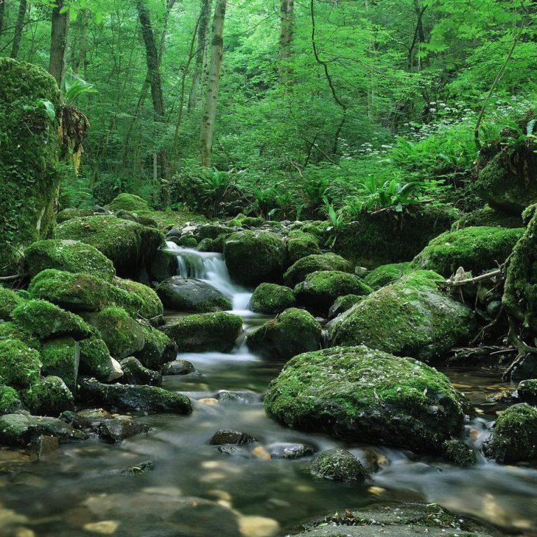 7 Stunning Waterfalls in Cornwall (Secret Spots Included!) | Cornish Vybes