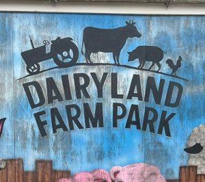 E-I-E-I-O: Best Farms to Visit in Cornwall | Cornish Vybes