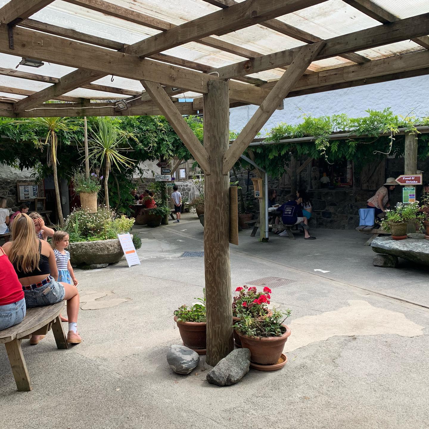 E-I-E-I-O: Best Farms to Visit in Cornwall | Cornish Vybes