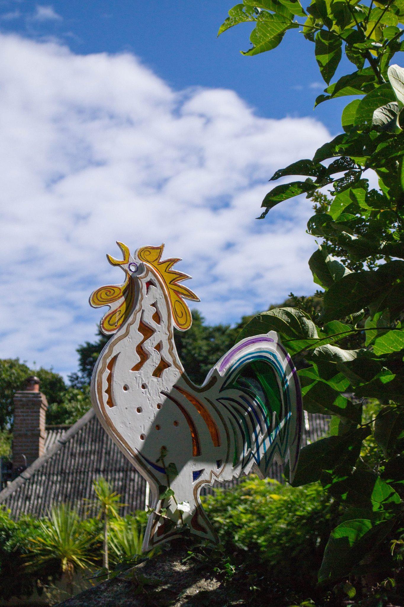 E-I-E-I-O: Best Farms to Visit in Cornwall | Cornish Vybes