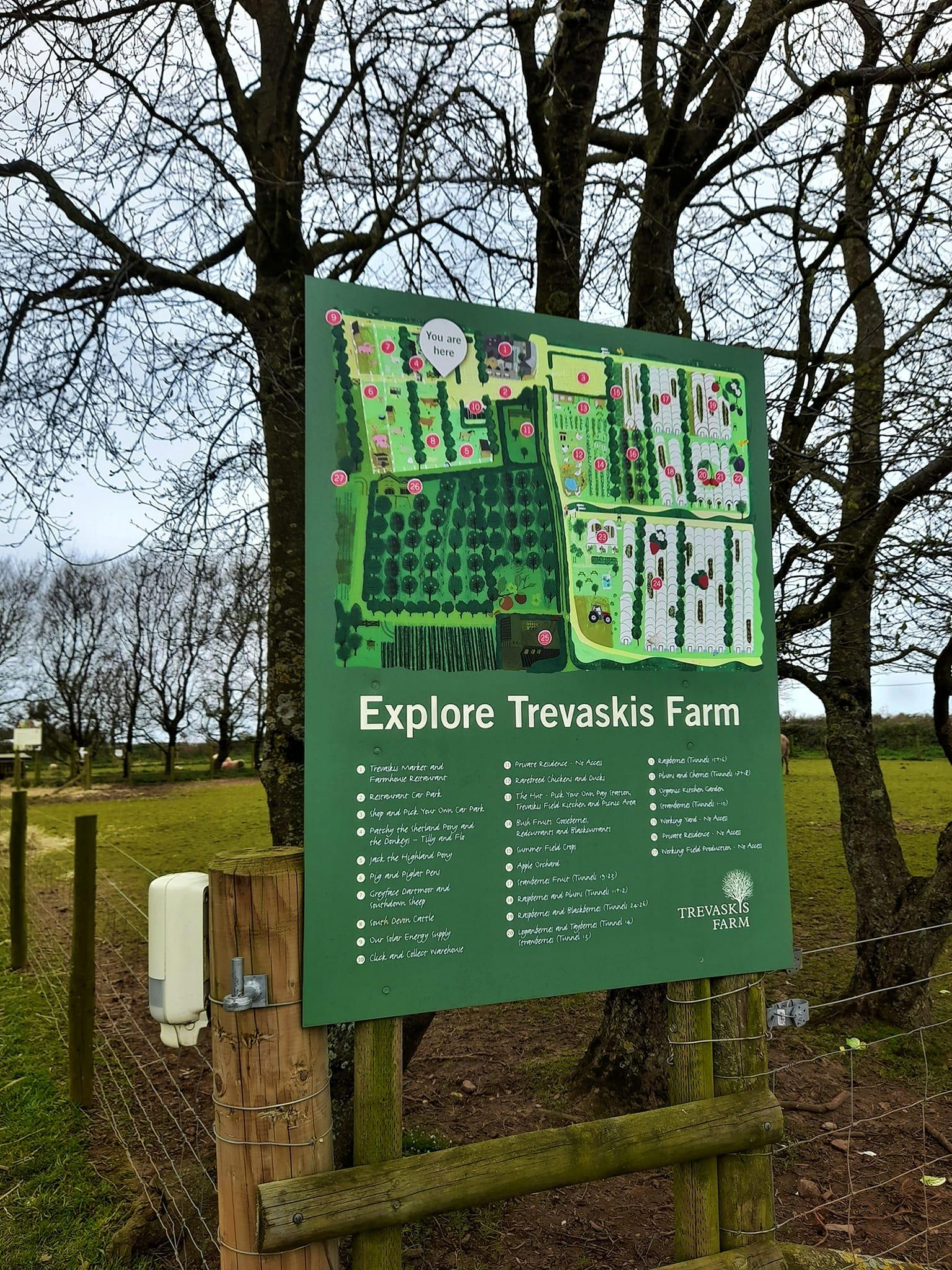 E-I-E-I-O: Best Farms to Visit in Cornwall | Cornish Vybes