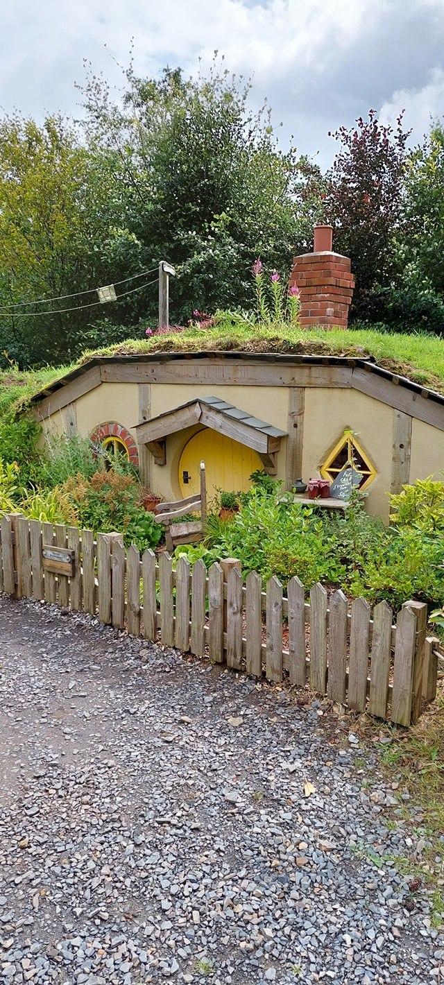 Unleash the Thrill: Explore Cornwall's Must-Visit Theme Parks | Cornish ...