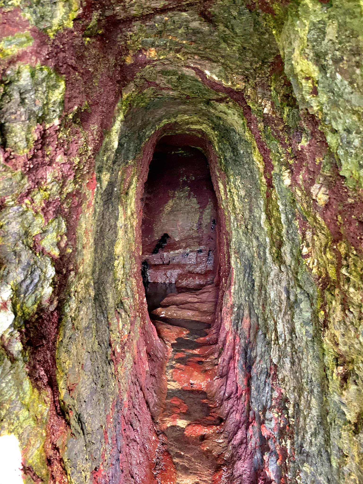 Caves of Cornwall: 7 Thrilling Underground Adventures | Cornish Vybes