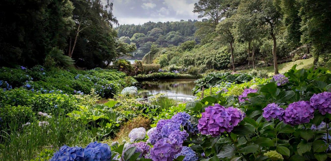 Complete Tranquillity: 10 Gardens in Cornwall to Visit | Cornish Vybes